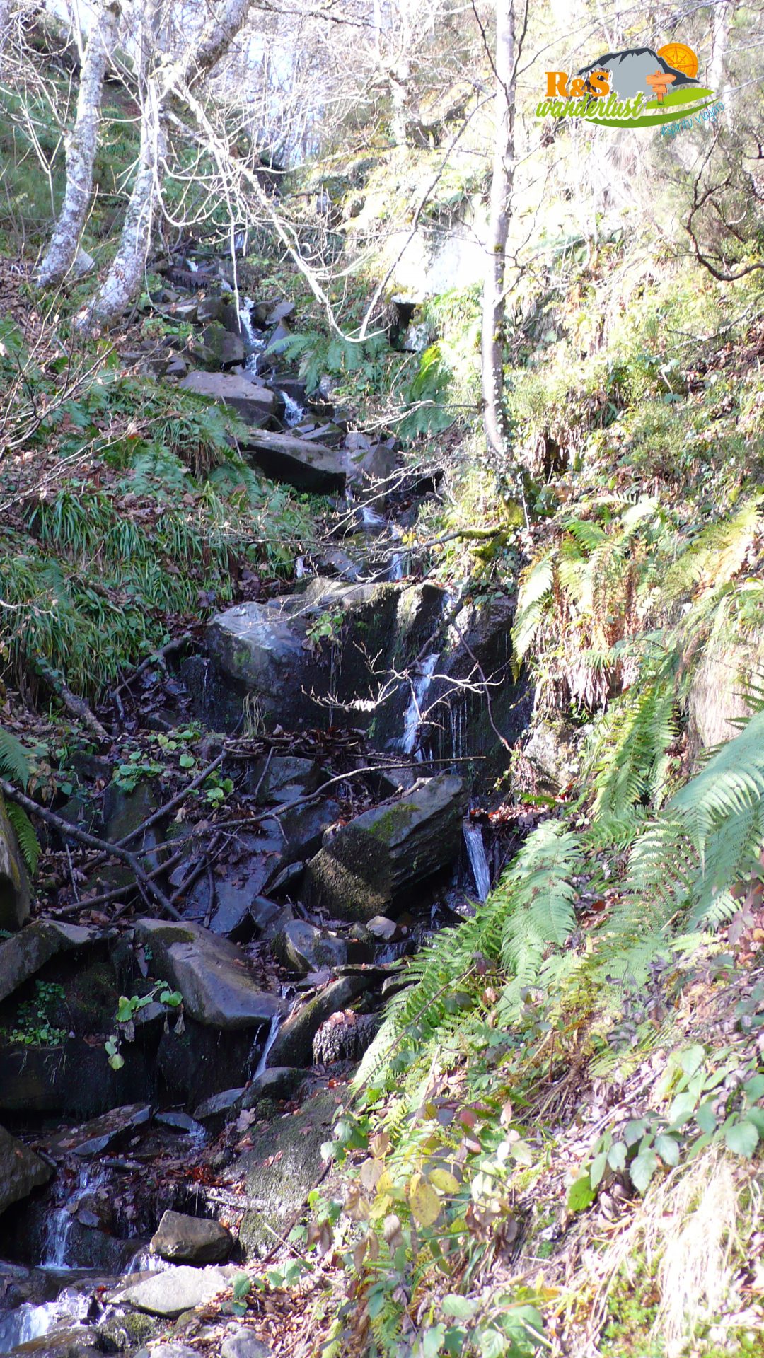 Les Bedules - Bosque de Peloño - Roblón de Bustiello - Rubén Wanderlust