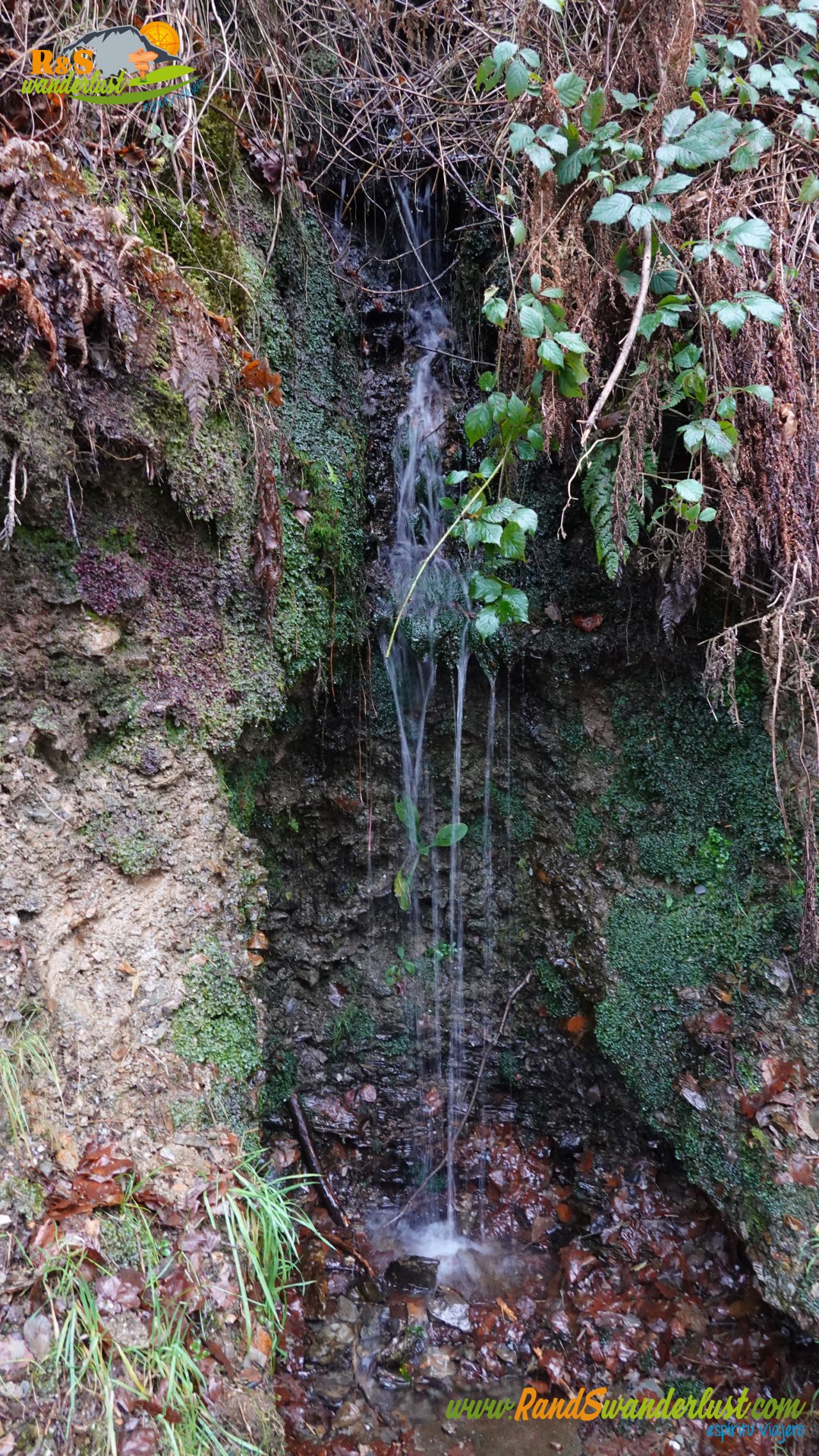 Coo - Cascade de Coo - Tour du Lac de Coo - Petit-Coo - Rubén Wanderlust